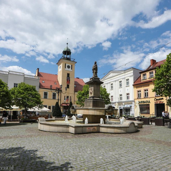 Rybnik zazielenia centrum miasta - Polska - Sztuka Krajobrazu