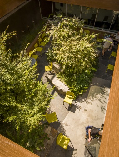 Ogród dla bezdomnych i wykluczonych - Strona 7 - Ogrody w różnych ...