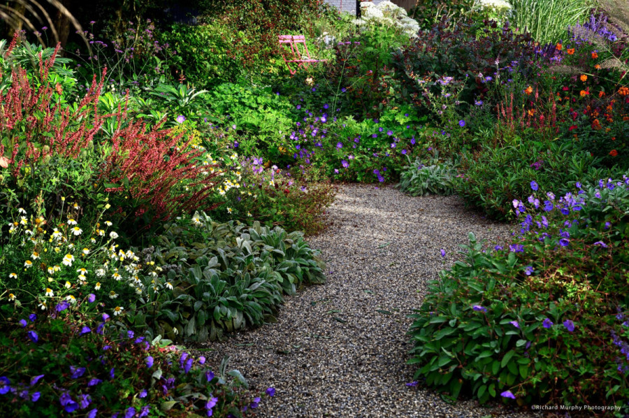 Patthana Garden w irlandzkim Kiltegan - Świat - Sztuka Krajobrazu