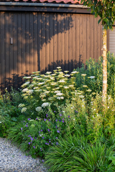 Naturalistyczny ogród w Suffolk - Świat - Sztuka Krajobrazu